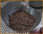 Klingon Racht - Comida Star Trek